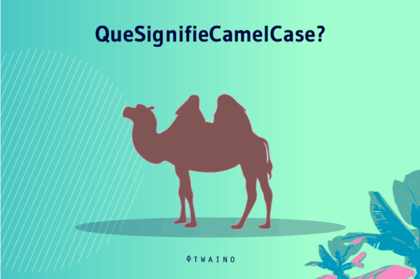 Définition Camel Case | Twaino