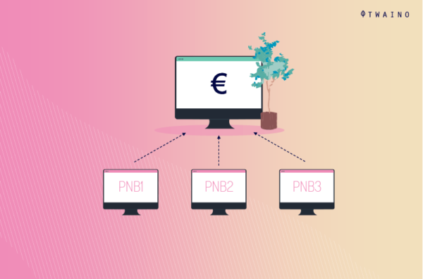 Définition de Private Blog Network - Twaino