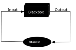Définition Black Box | Twaino