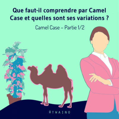 Définition Camel Case - Twaino