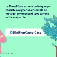 Définition Camel Case - Twaino