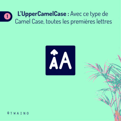 Définition Camel Case - Twaino