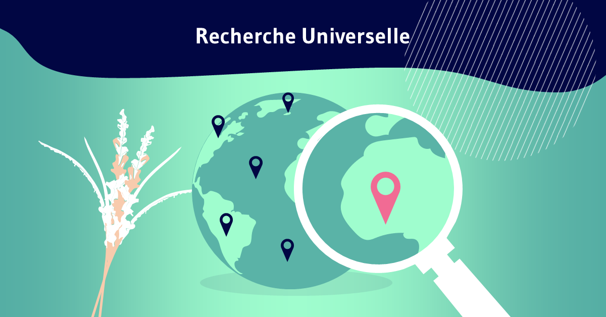 Définition Recherche Universelle - Twaino