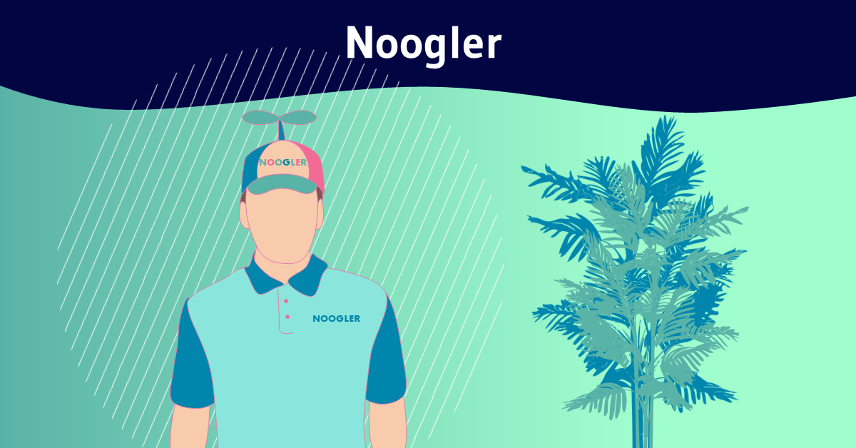 Définition Noogler - Twaino