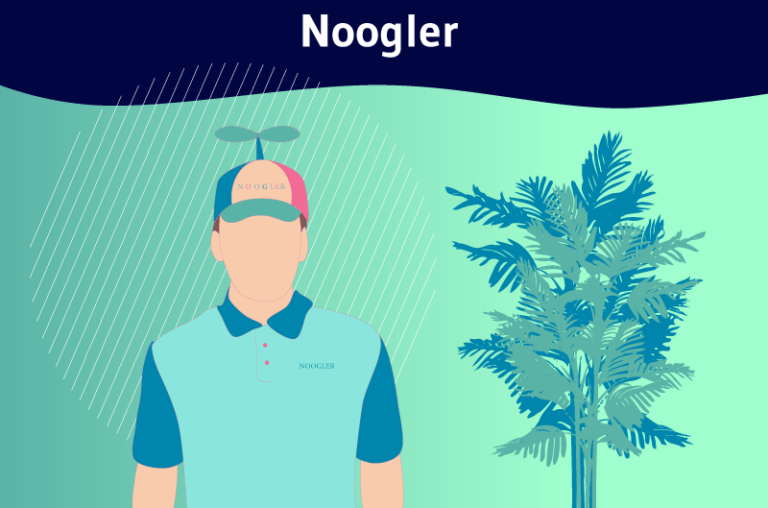 Definição de Noogler - Twaino