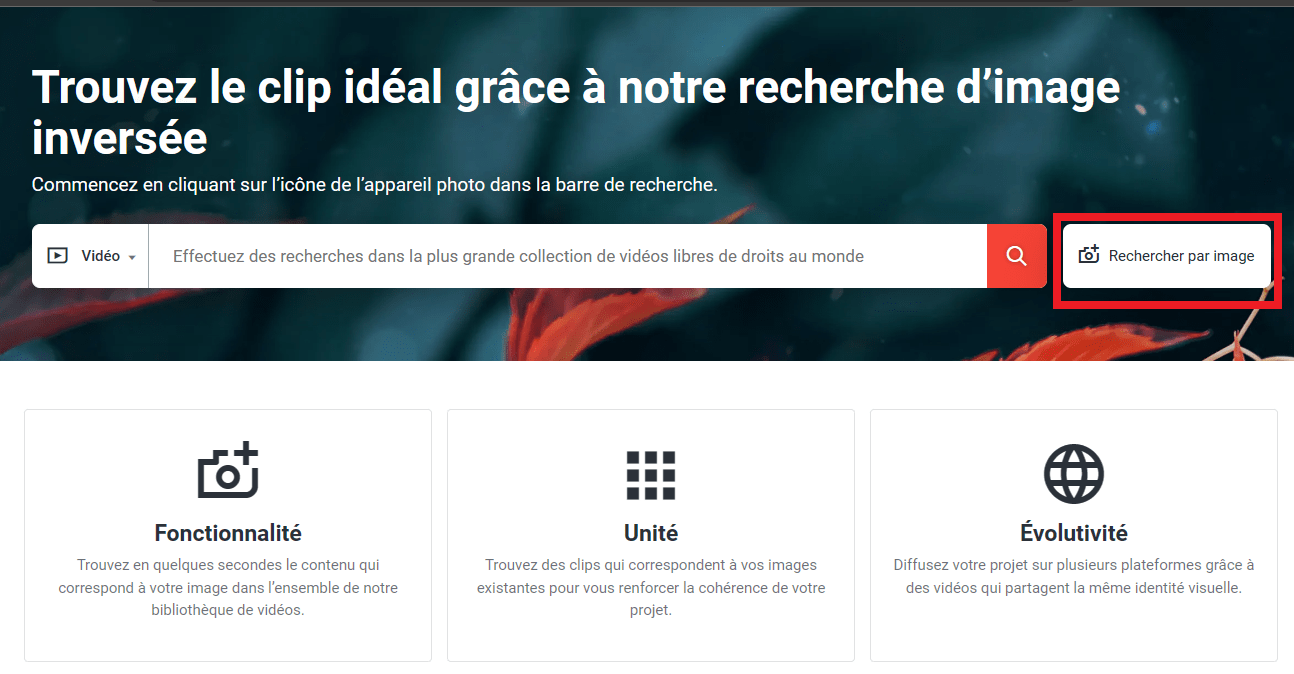 Les 4 Étapes Pour Une Recherche Inversée de Vidéos Sur Google - Twaino
